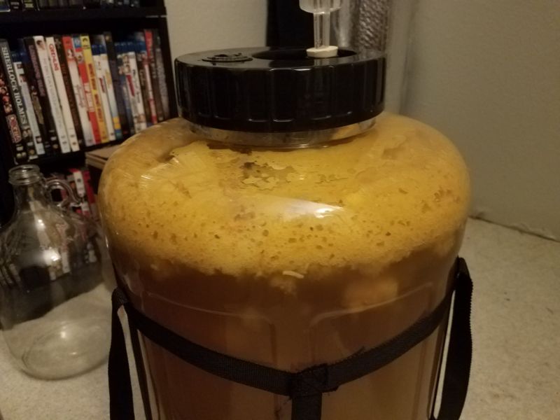 Mango-Habanero Mead - Brewing Mischief
